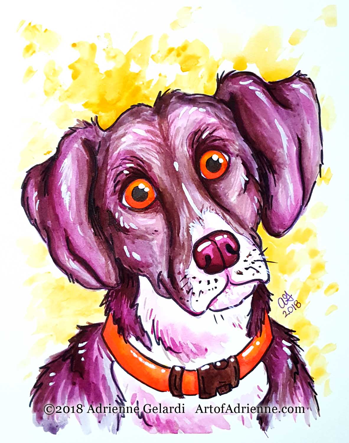 Pop Art Pet Portrait by Adrienne Gelardi – ART OF ADRIENNE